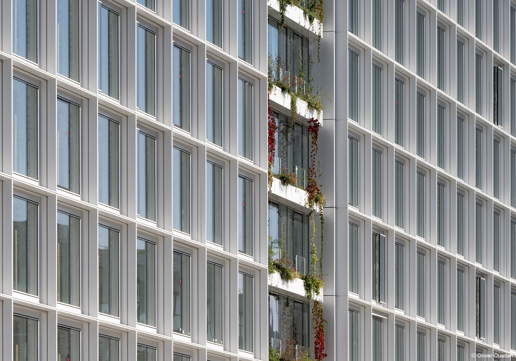 Stream Building à Paris - Portail officiel du Bois Lamellé